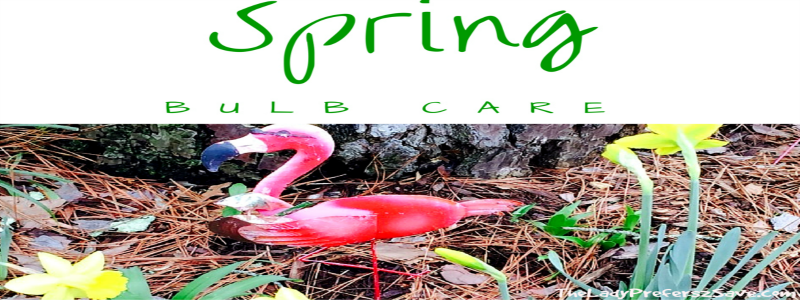 spring bulb header banner – The LadyPrefers2Save